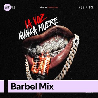 Barbel Mix | Spotify Playlist
