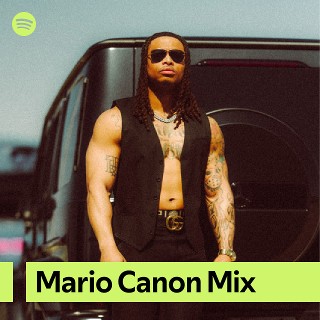 Mario Canon Mix | Spotify Playlist