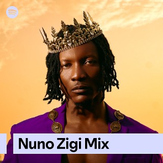 Nuno Zigi Mix | Spotify Playlist