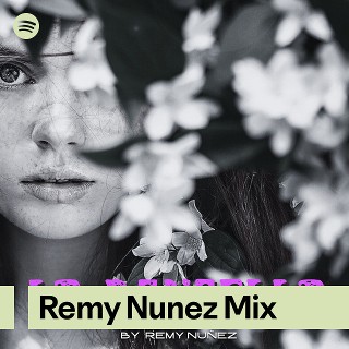 Remy Nunez Mix | Spotify Playlist