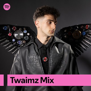 Twaimz Mix | Spotify Playlist