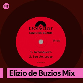 Elizio de Buzios Mix | Spotify Playlist