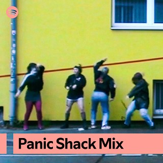 Panic Shack Mix | Spotify Playlist