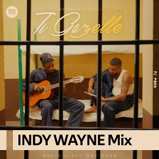 INDY WAYNE Mix | Spotify Playlist