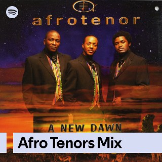 Afro Tenors Mix | Spotify Playlist