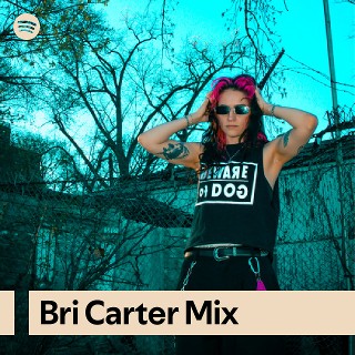 Bri Carter Mix | Spotify Playlist