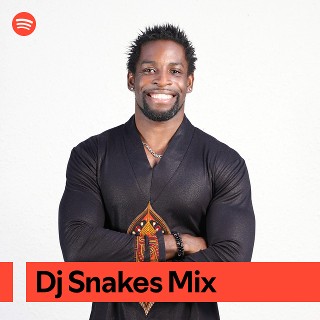 Dj Snakes Mix | Spotify Playlist