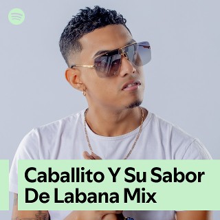 Caballito Y Su Sabor De Labana Mix | Spotify Playlist