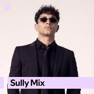Sully Mix | Spotify Playlist