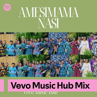 Vevo Music Hub Mix | Spotify Playlist