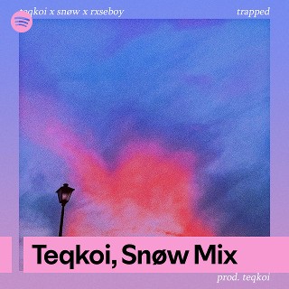 Teqkoi, Snøw Mix | Spotify Playlist
