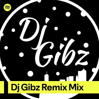 Dj Gibz Remix Mix | Spotify Playlist