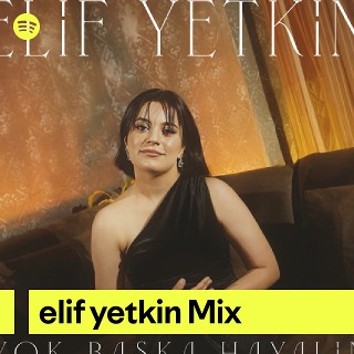 elif yetkin Mix | Spotify Playlist