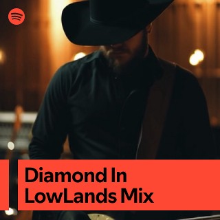 Diamond In LowLands Mix | Spotify Playlist