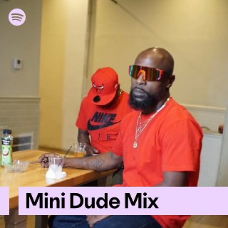 Mini Dude Mix | Spotify Playlist