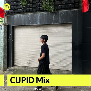 CUPID Mix | Spotify Playlist