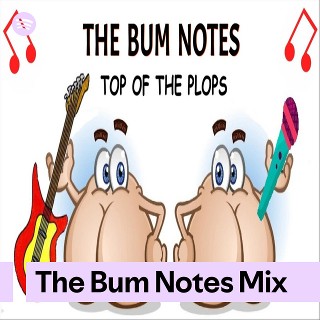 The Bum Notes Mix | Spotify Playlist