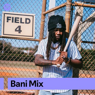 Bani Mix | Spotify Playlist