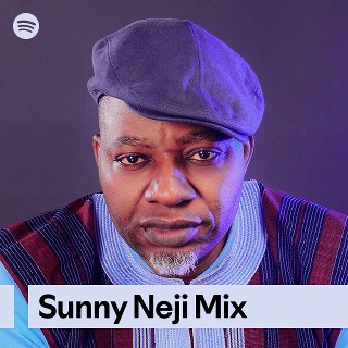 Sunny Neji Mix | Spotify Playlist