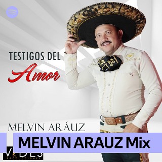 MELVIN ARAUZ Mix | Spotify Playlist