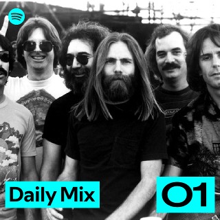 Daily Mix 1 | Spotify Playlist
