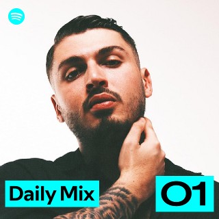 Daily Mix 1 | Spotify Playlist