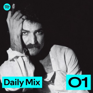 Daily Mix 1 | Spotify Playlist