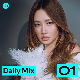 Daily Mix 1 | Spotify Playlist
