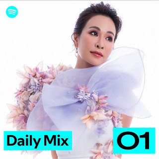 Daily Mix 1 | Spotify Playlist