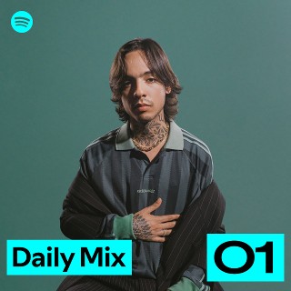 Daily Mix 1 | Spotify Playlist