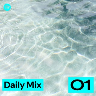 Daily Mix 1 | Spotify Playlist