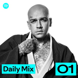 Daily Mix 1 | Spotify Playlist