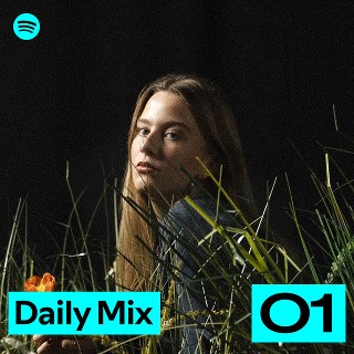 Daily Mix 1 | Spotify Playlist