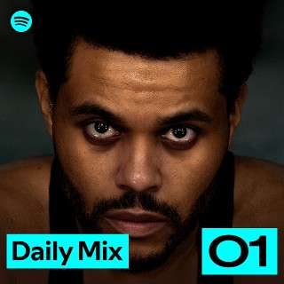 Daily Mix 1 | Spotify Playlist