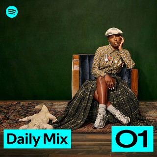 Daily Mix 1 | Spotify Playlist