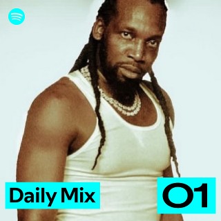 Daily Mix 1 | Spotify Playlist