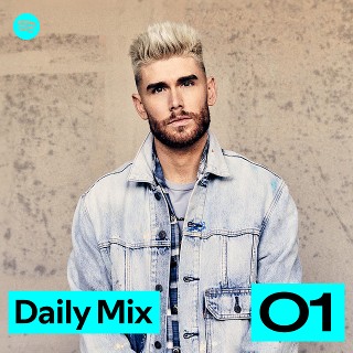Daily Mix 1 | Spotify Playlist