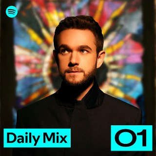 Daily Mix 1 | Spotify Playlist