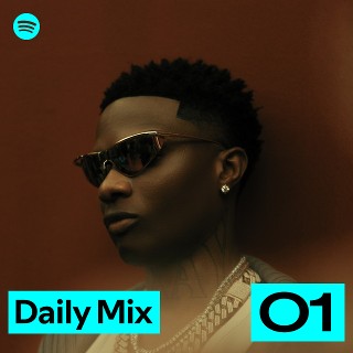 Daily Mix 1 | Spotify Playlist