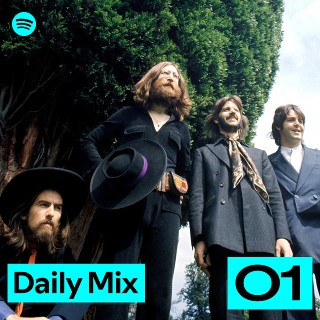 Daily Mix 1 | Spotify Playlist