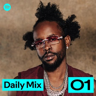 Daily Mix 1 | Spotify Playlist