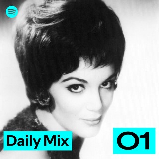 Daily Mix 1 | Spotify Playlist