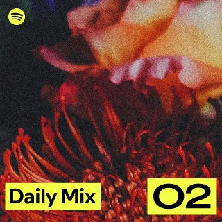 Daily Mix 2 | Spotify Playlist