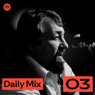 Daily Mix 3 | Spotify Playlist