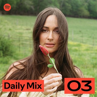 Daily Mix 3 | Spotify Playlist