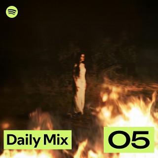 Daily Mix 5 | Spotify Playlist