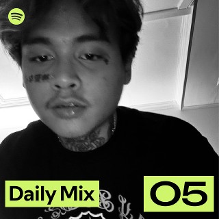 Daily Mix 5 | Spotify Playlist