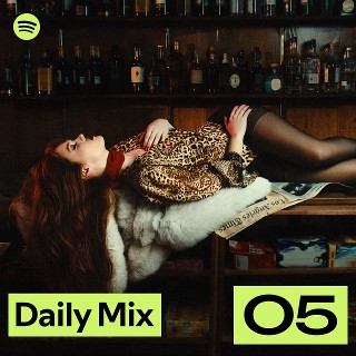 Daily Mix 5 | Spotify Playlist