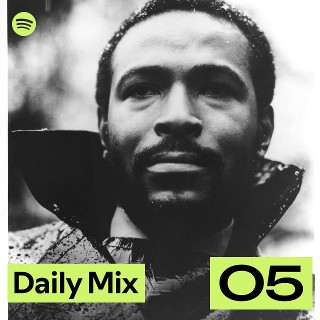 Daily Mix 5 | Spotify Playlist