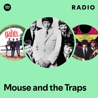 Mouse and the traps store